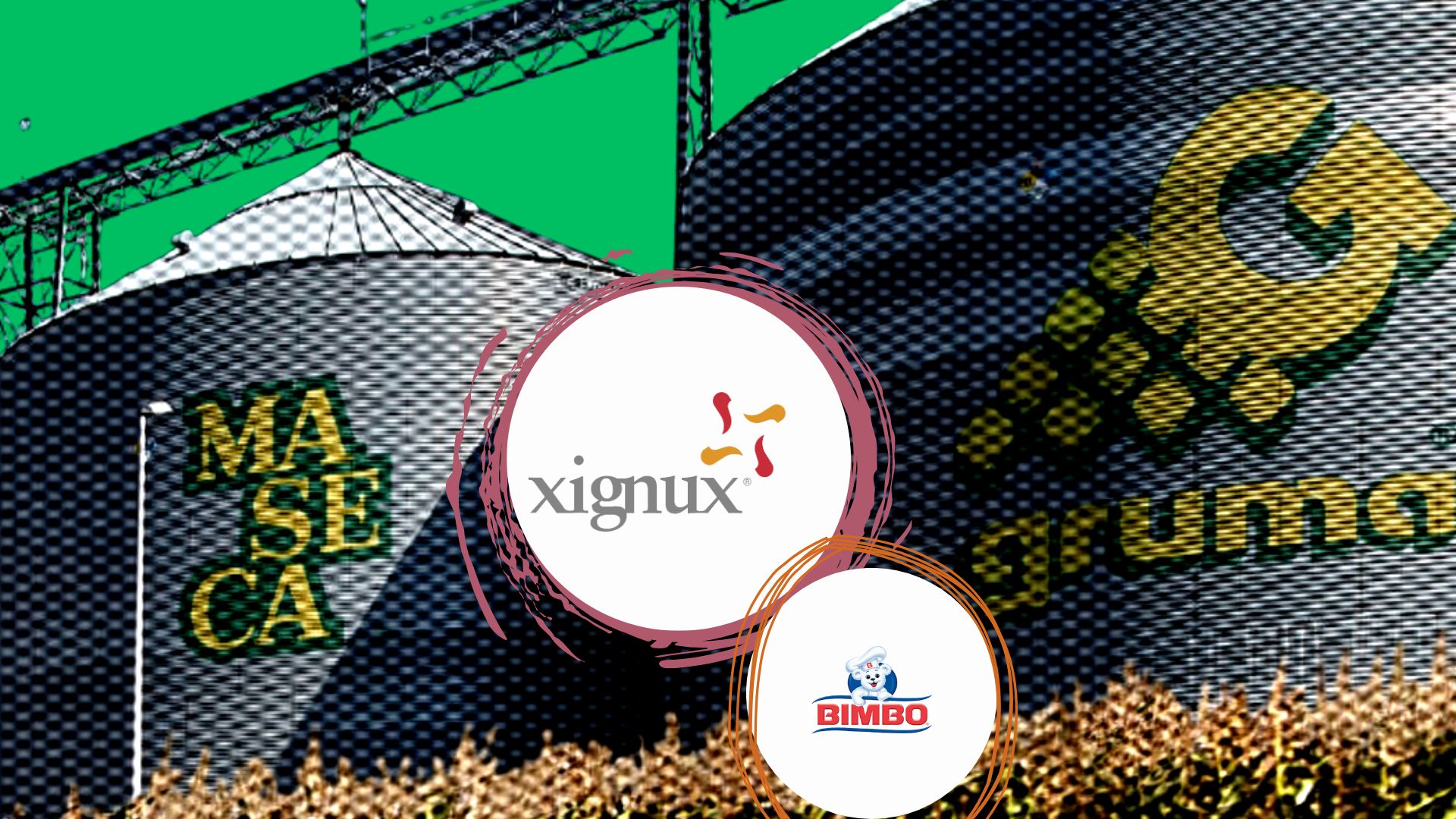 Xignux: empresa mexicana que conquista mercados del mundo - Referente.mx