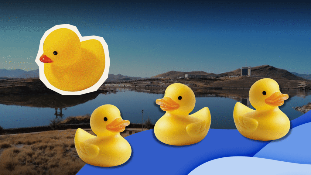 ¡Una carrera de patitos con propósito! - Referente.mx